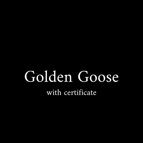 Golden Goose Authentication Service with Certificate – Awethentigreat